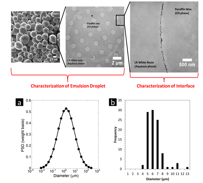 Quantifying Interfacial Thickness and Dynamic Emulsion Morphology of ...