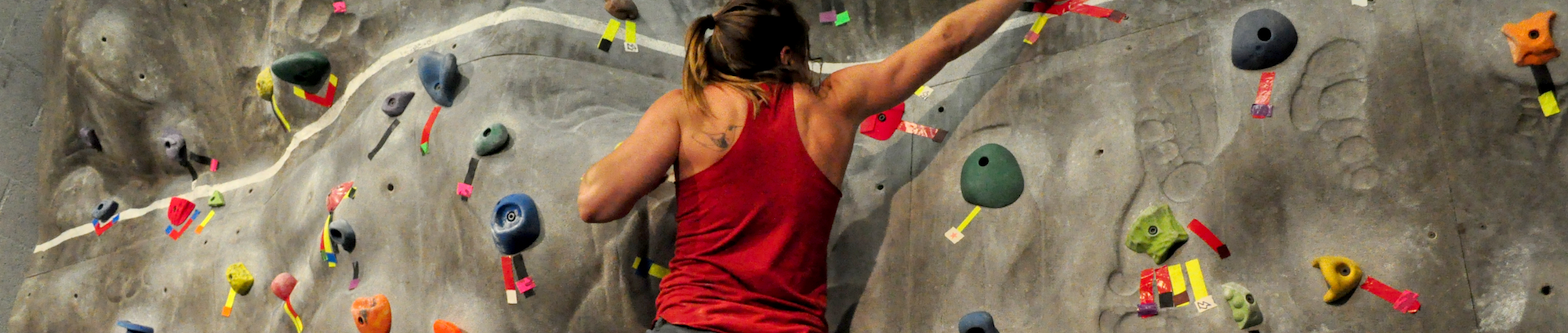 Fitness + Recreation